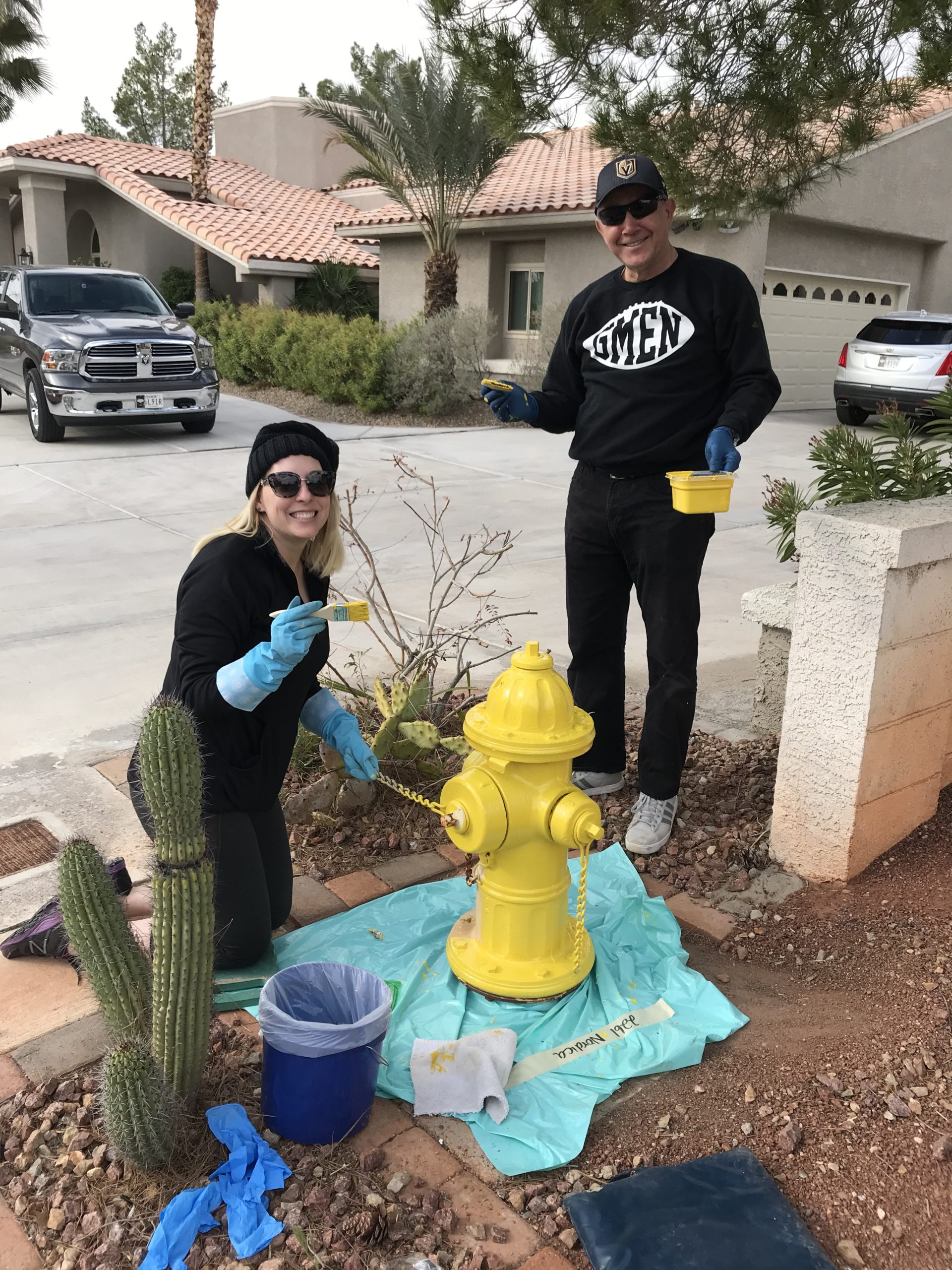 Fire Hydrant Project