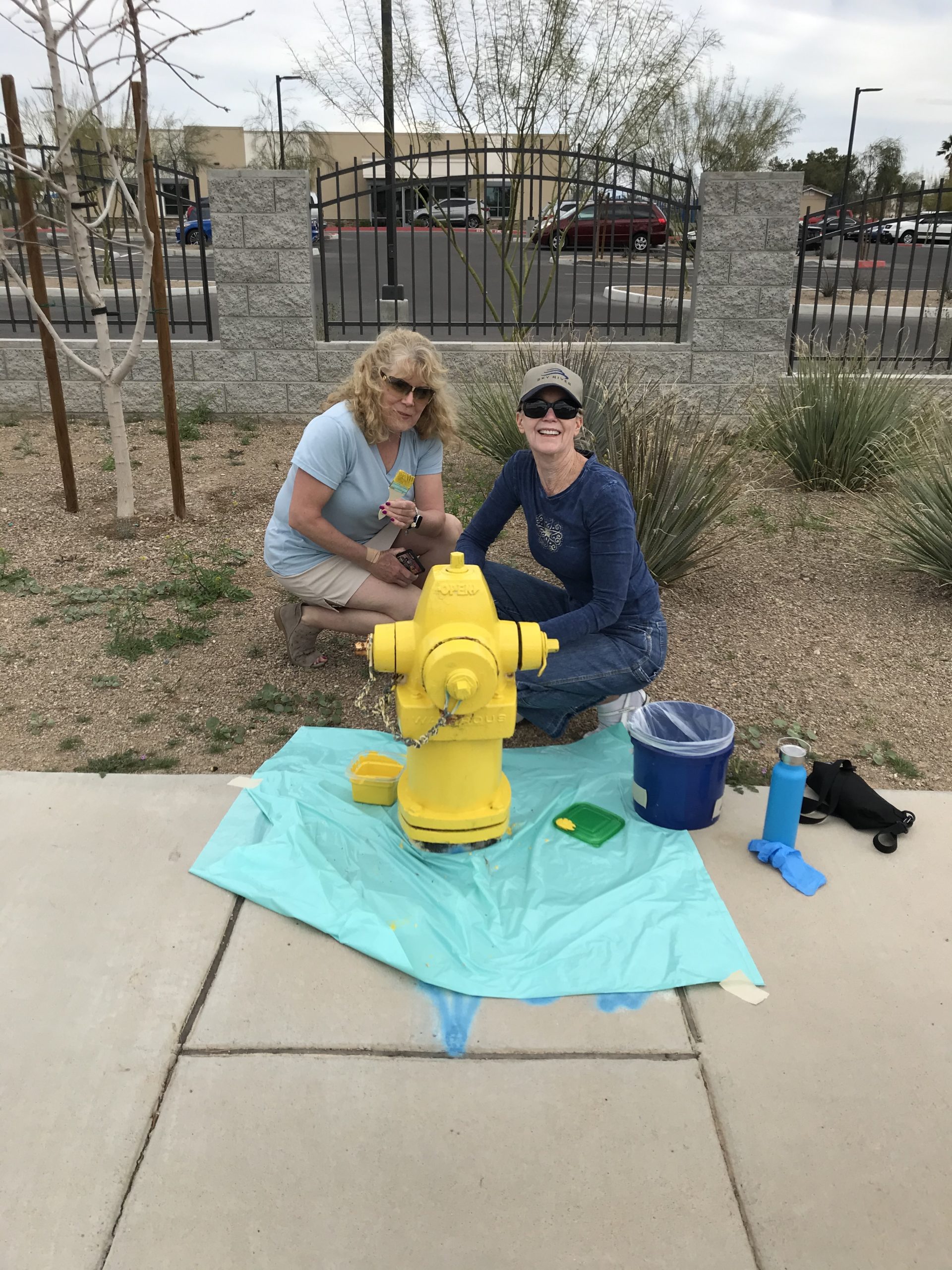 Fire Hydrant Project