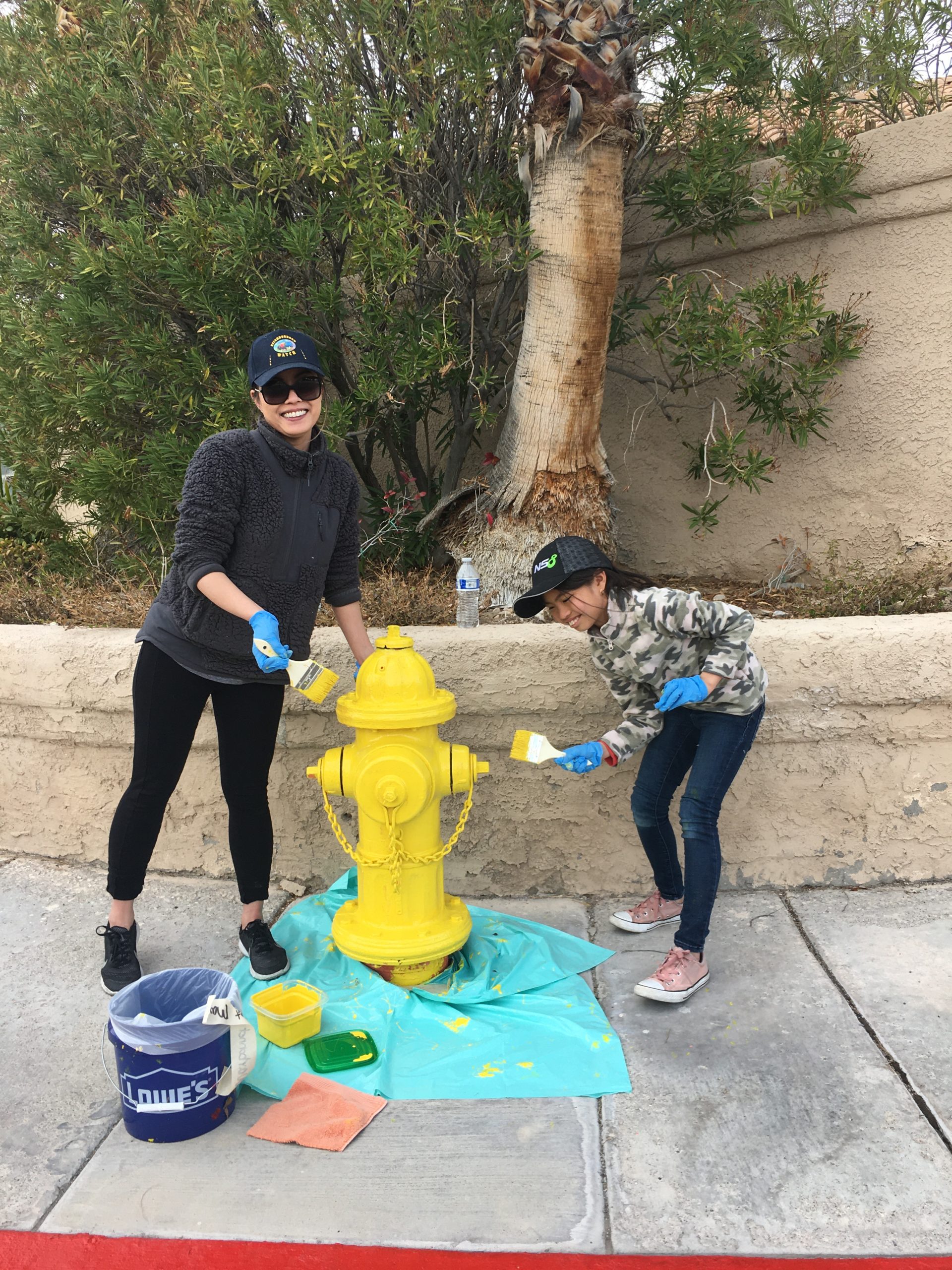 Fire Hydrant Project